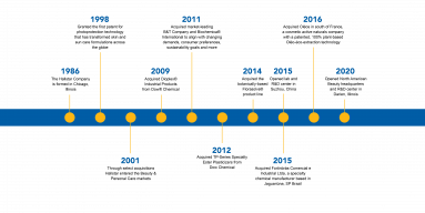 History | Hallstar Corporate