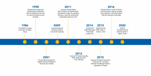 History | Hallstar Corporate