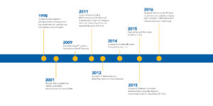 History | Hallstar Corporate